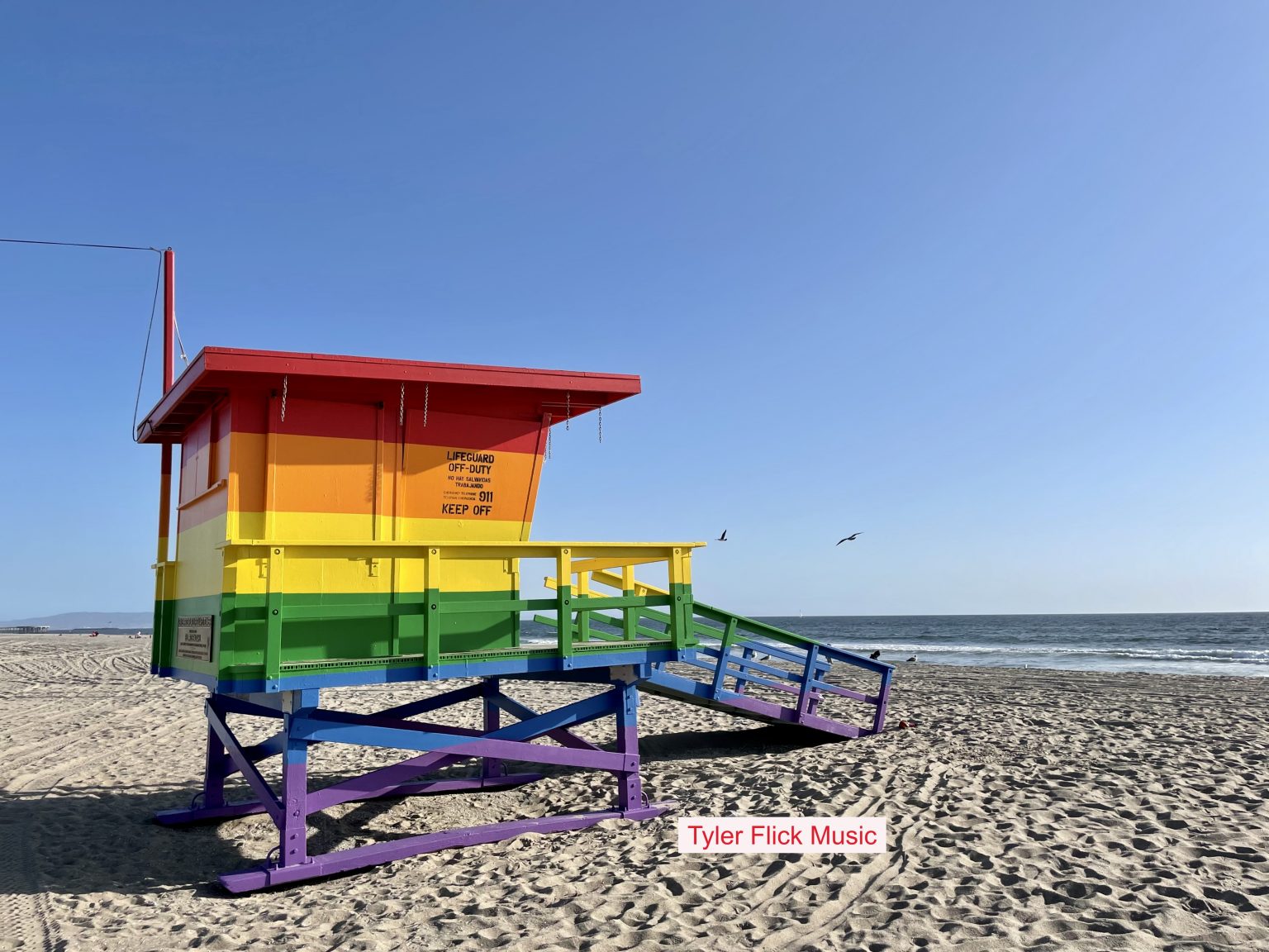 The new single 'Rainbow Lifeguard Tower' from 'Tyler Flick' with its ...